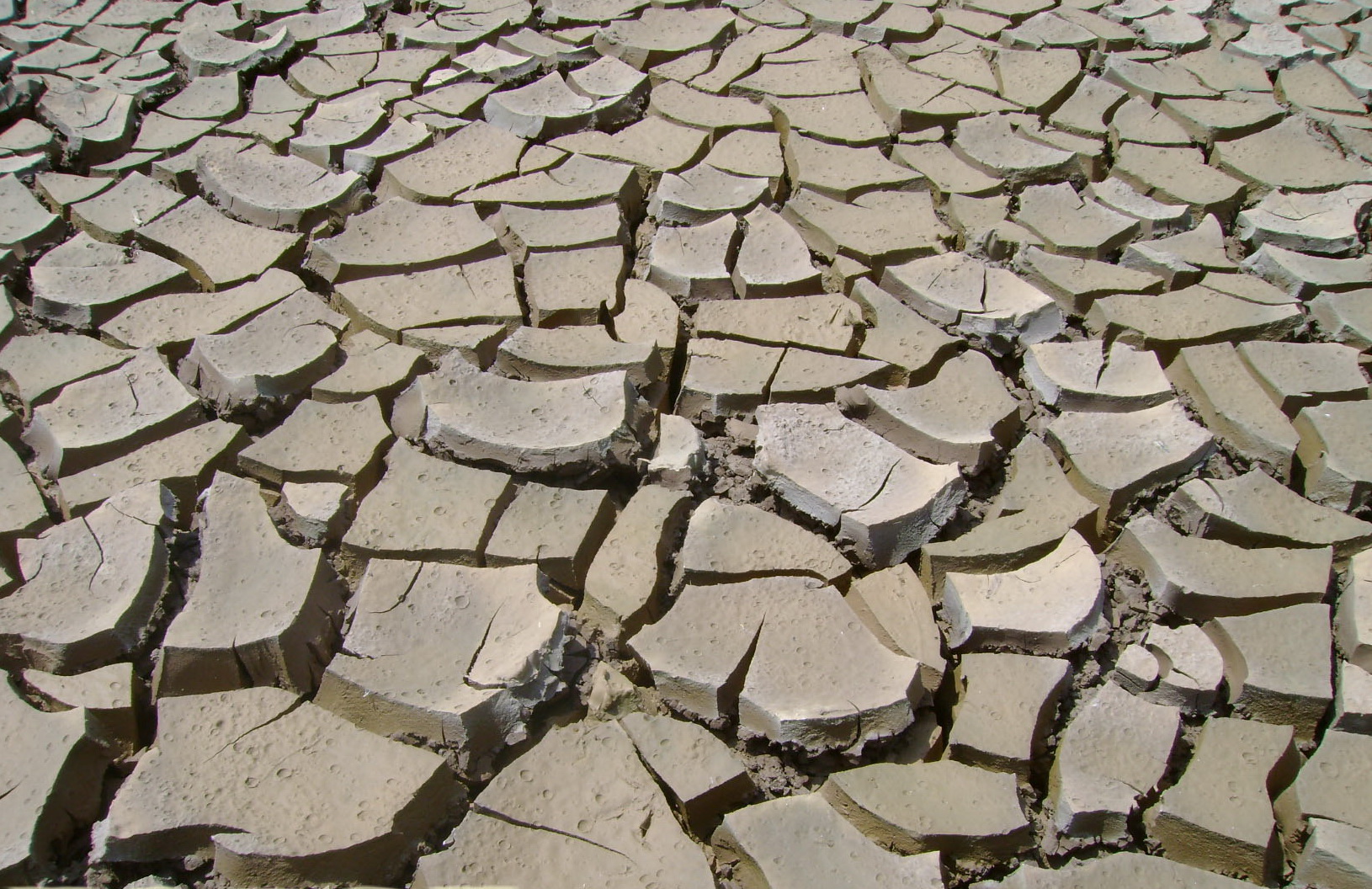 Field Tour No Water To Lose - Drought in Israel - Tuesday, Nov. 20 at ...